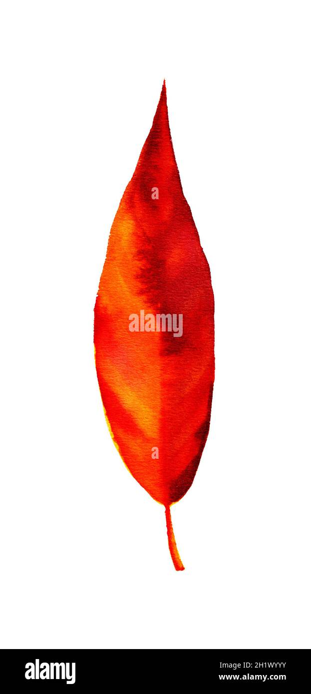 Sepia ink painting Cut Out Stock Images & Pictures - Alamy