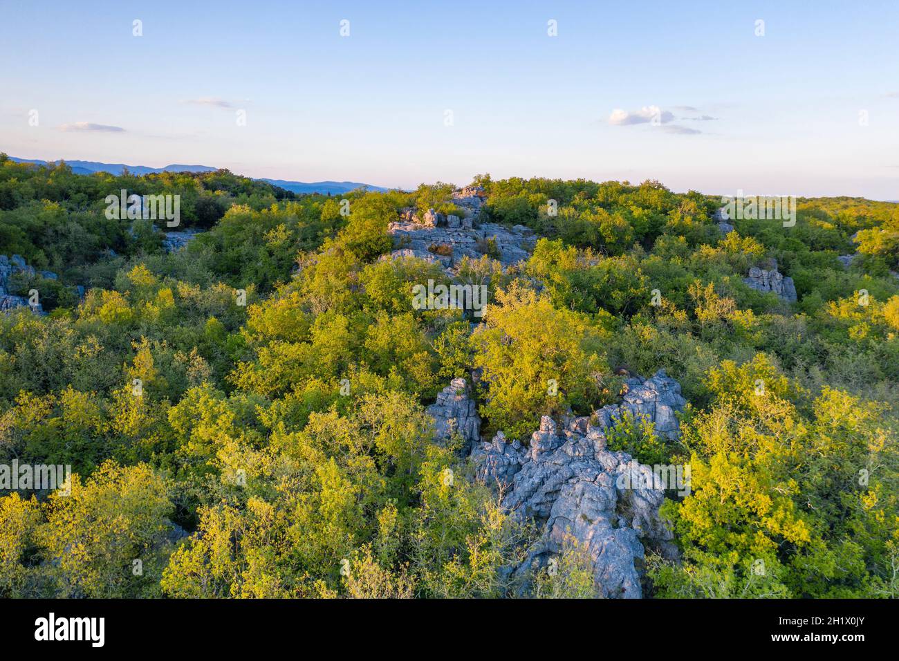 France, Ardeche, Parc naturel regional des Monts d'Ardeche (Monts d ...