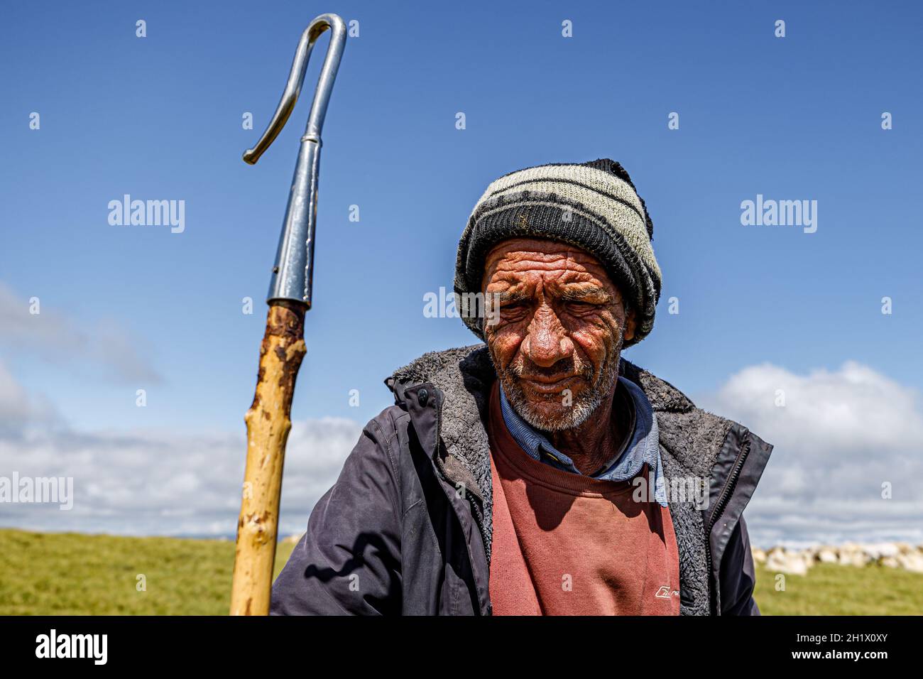 Portrait herder hi-res stock photography and images - Alamy