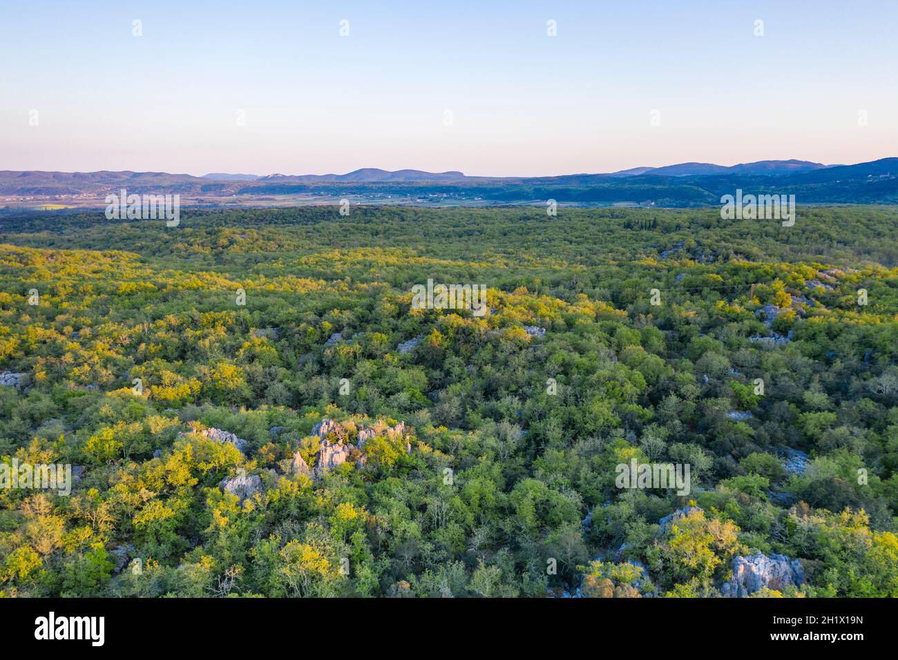 France, Ardeche, Parc naturel regional des Monts d'Ardeche (Monts d ...