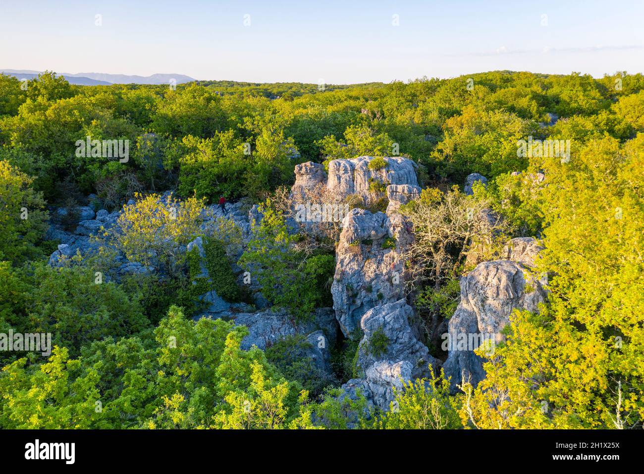 France, Ardeche, Parc naturel regional des Monts d'Ardeche (Monts d ...