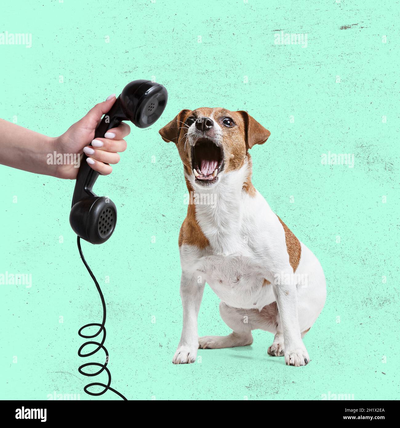 Doggy cart hi-res stock photography and images - Alamy