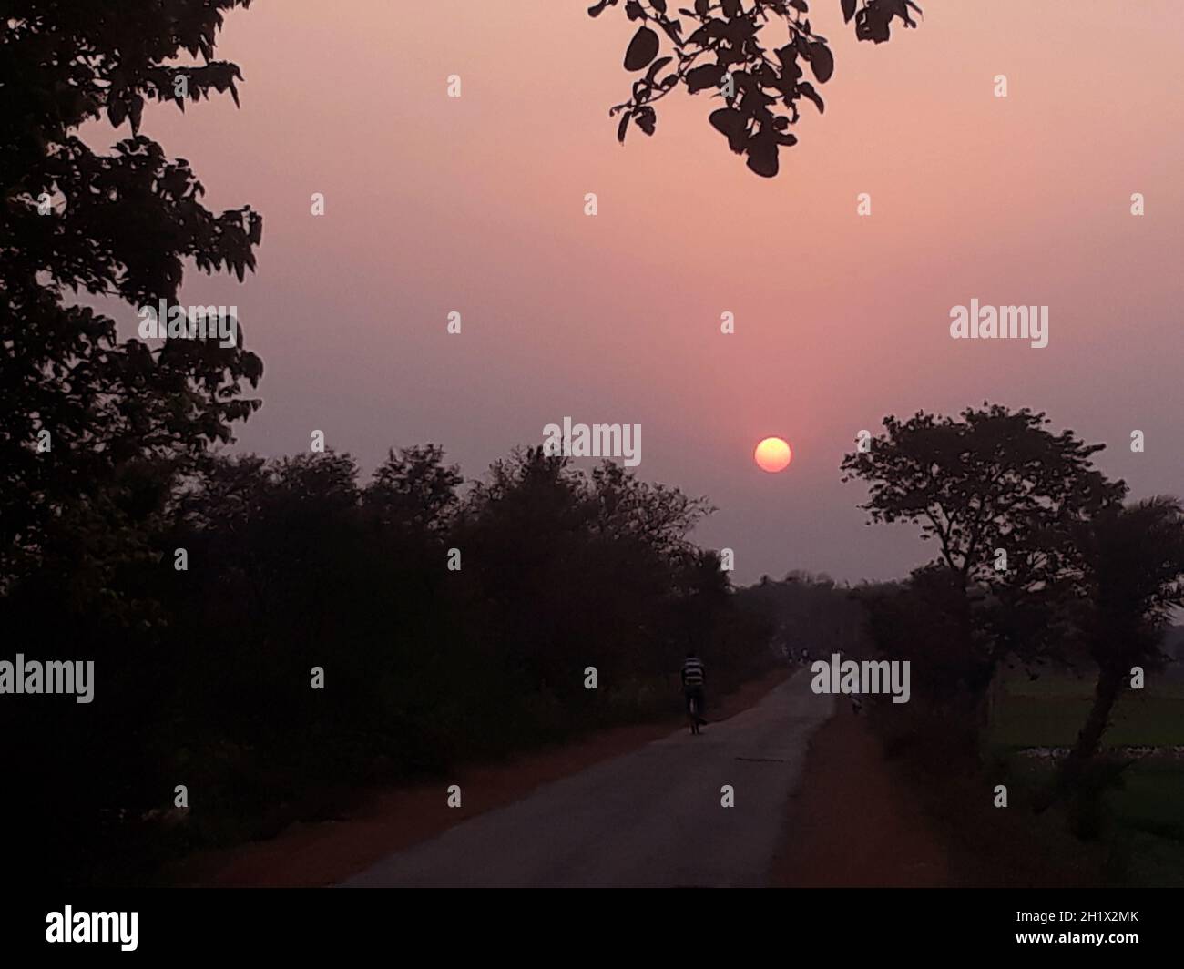Sunset and Tree Silhouette At village roadside Stock Photo - Alamy