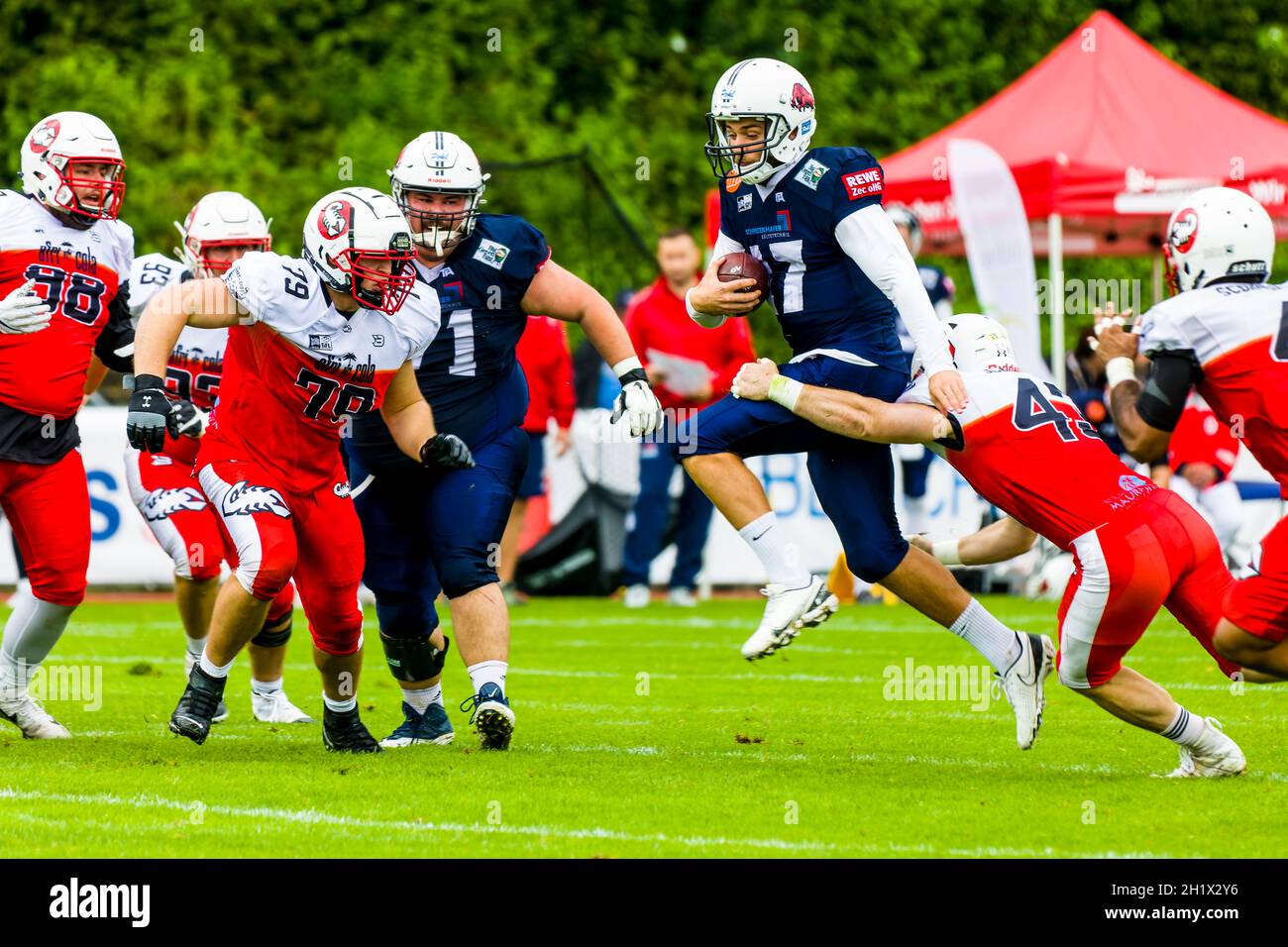 QB # 17 Alexander Kronborg Bjerre / Ravensburg Razorbacks Stock Photo ...