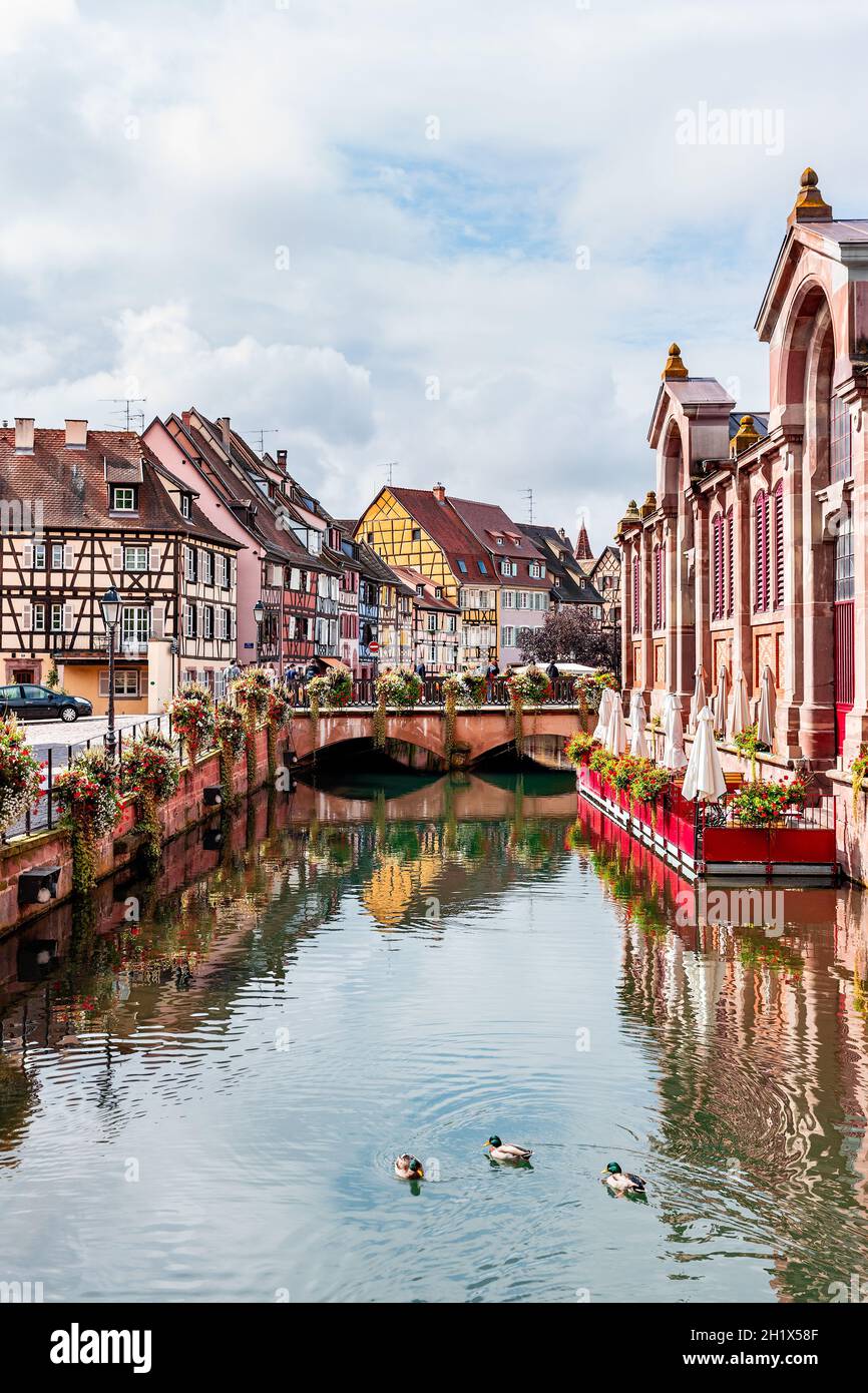 Colorful historic houses by the lake and bridge in Colmar France Stock ...