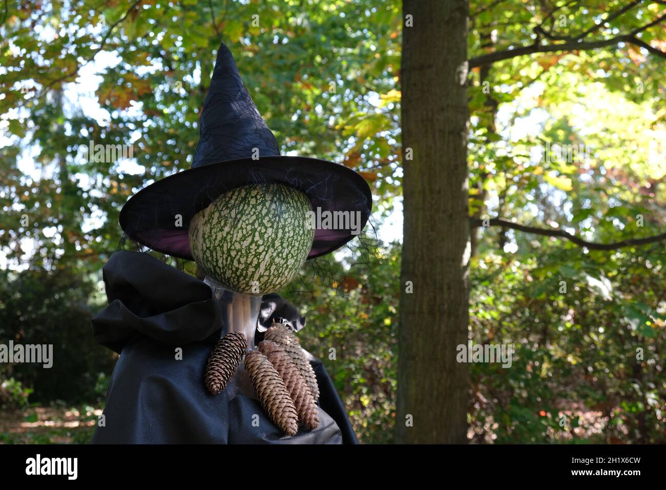 Composition halloween carved pumpkin hi-res stock photography and ...