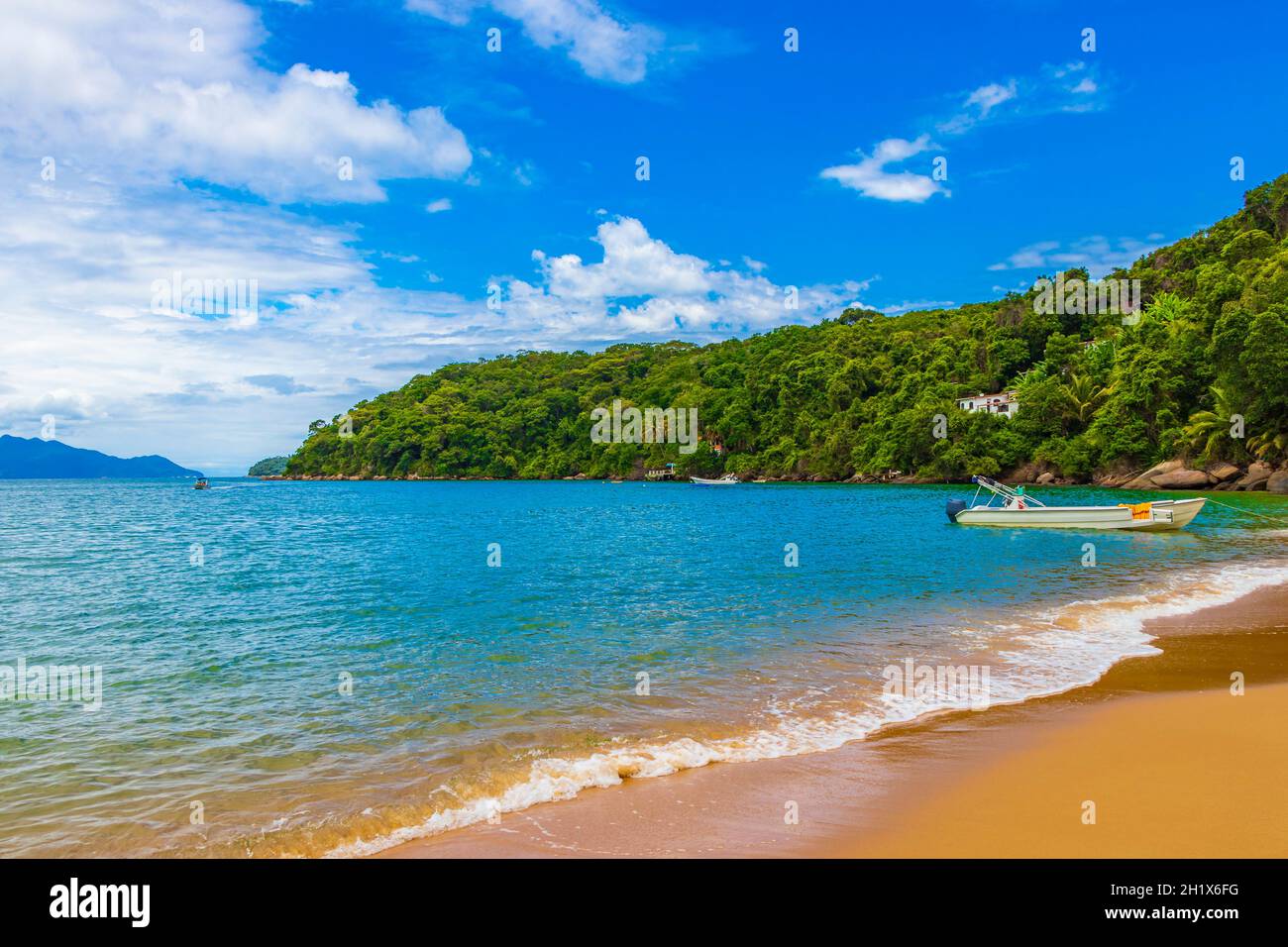 Praia palmas hi-res stock photography and images - Alamy