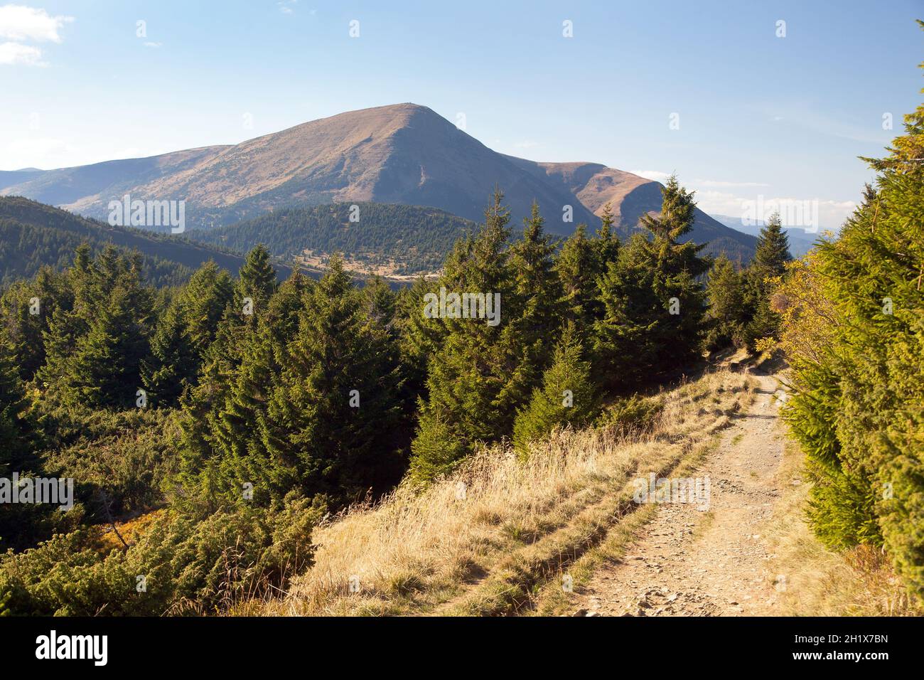 Carpathian national park ukraine hi-res stock photography and images ...