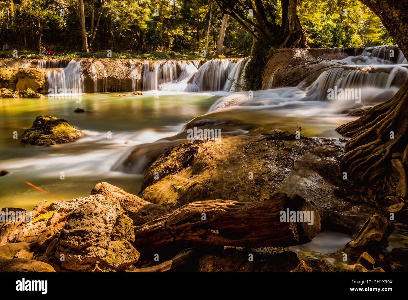 Deep rainforest hi-res stock photography and images - Alamy