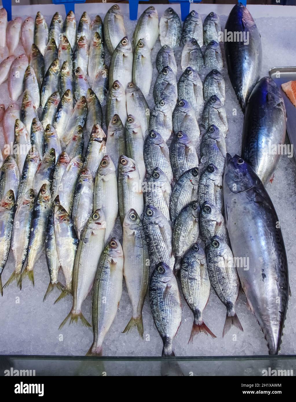 Selling fresh fish at the market at Kemer Turkey Stock Photo - Alamy
