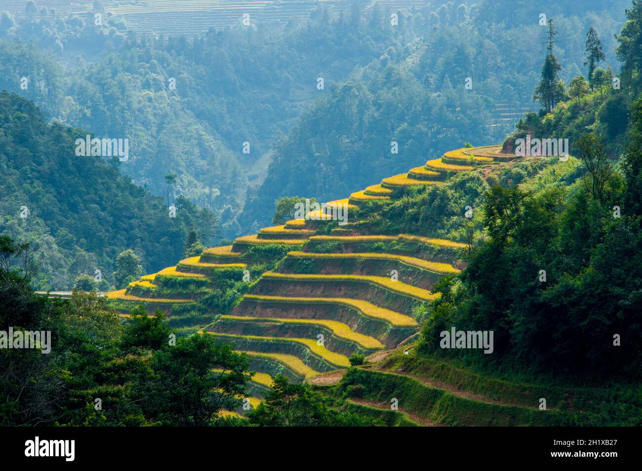 Amazing rice terraces Stock Photo - Alamy