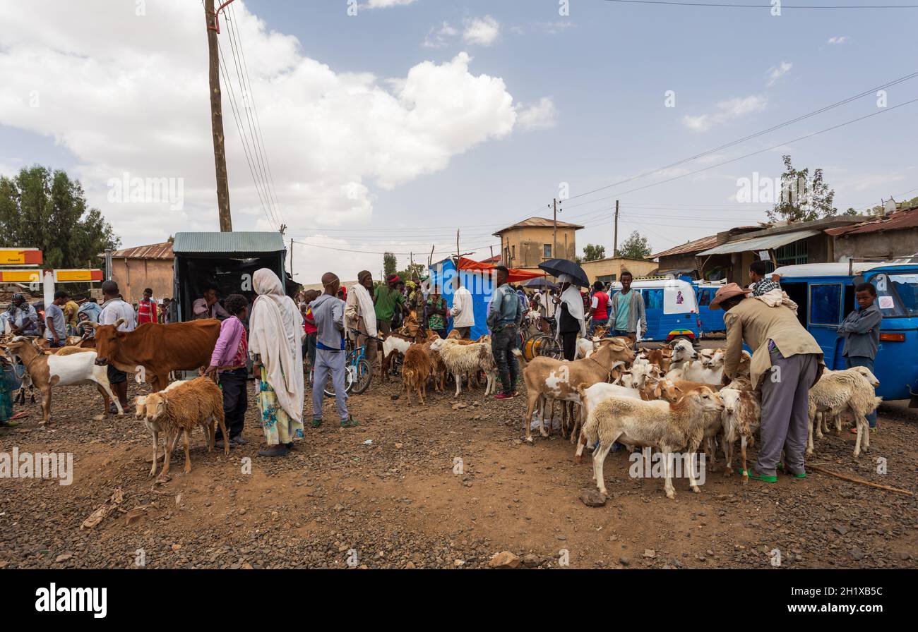 Donkey women of ethiopia hi-res stock photography and images - Alamy