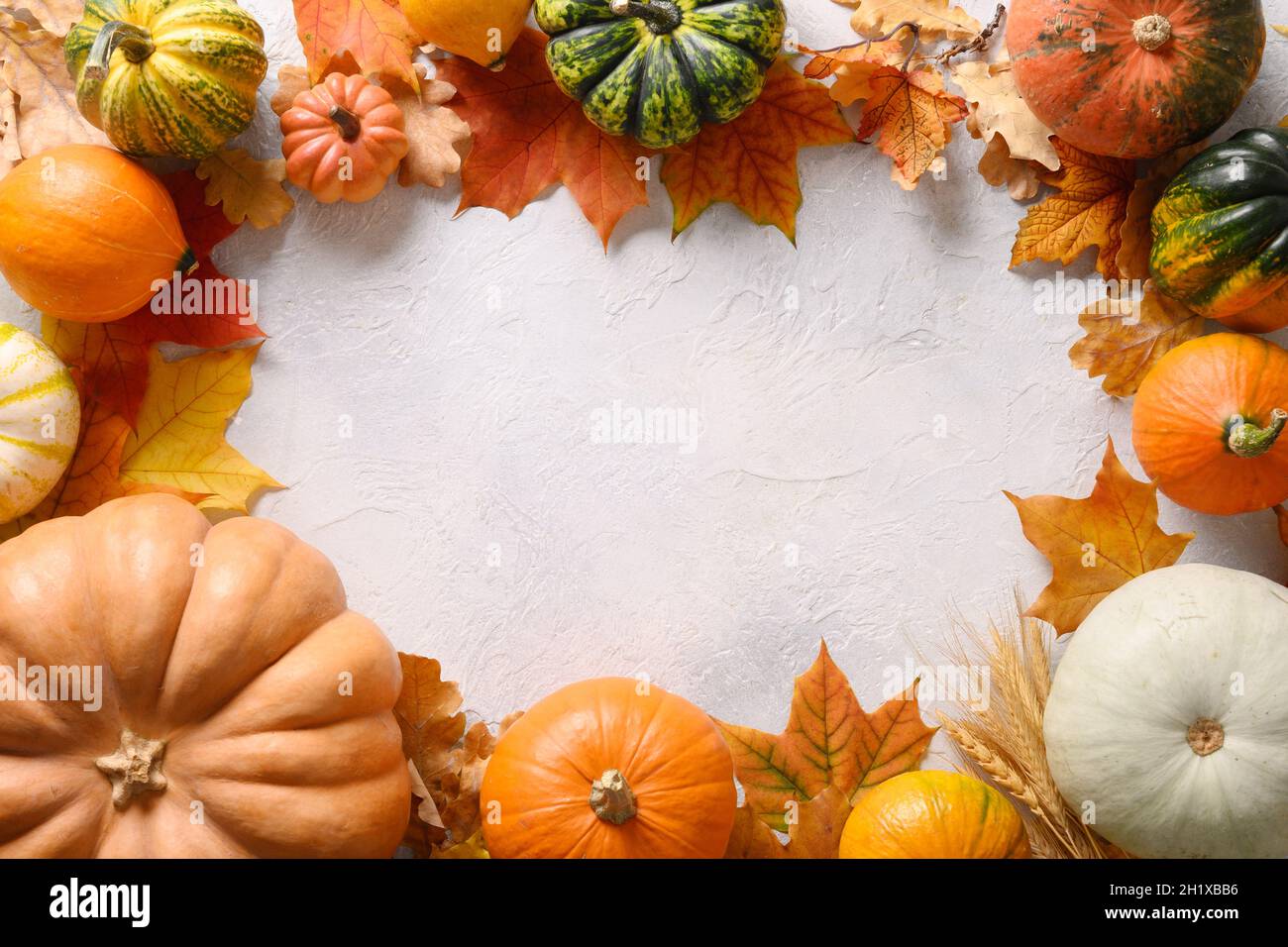 Autumn frame of colorful pumpkins and falled leaves on white background ...