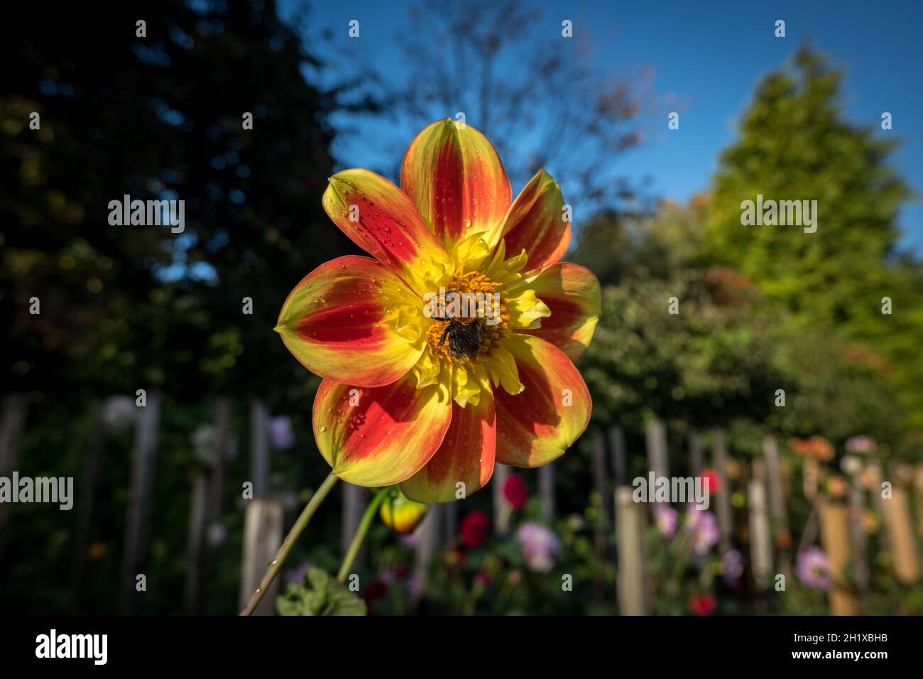 Rebecca sun hi-res stock photography and images - Alamy