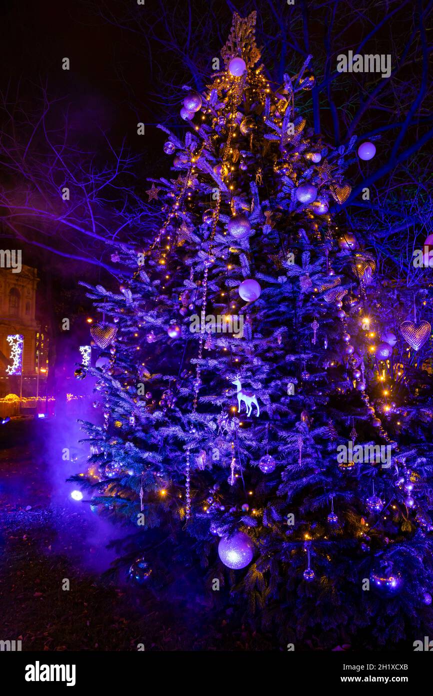 Christmas tree in vienna hi-res stock photography and images - Alamy