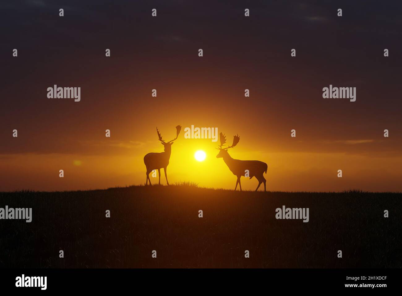 Deer at sunset in an open landscape, wildlife and nature. 3D ...