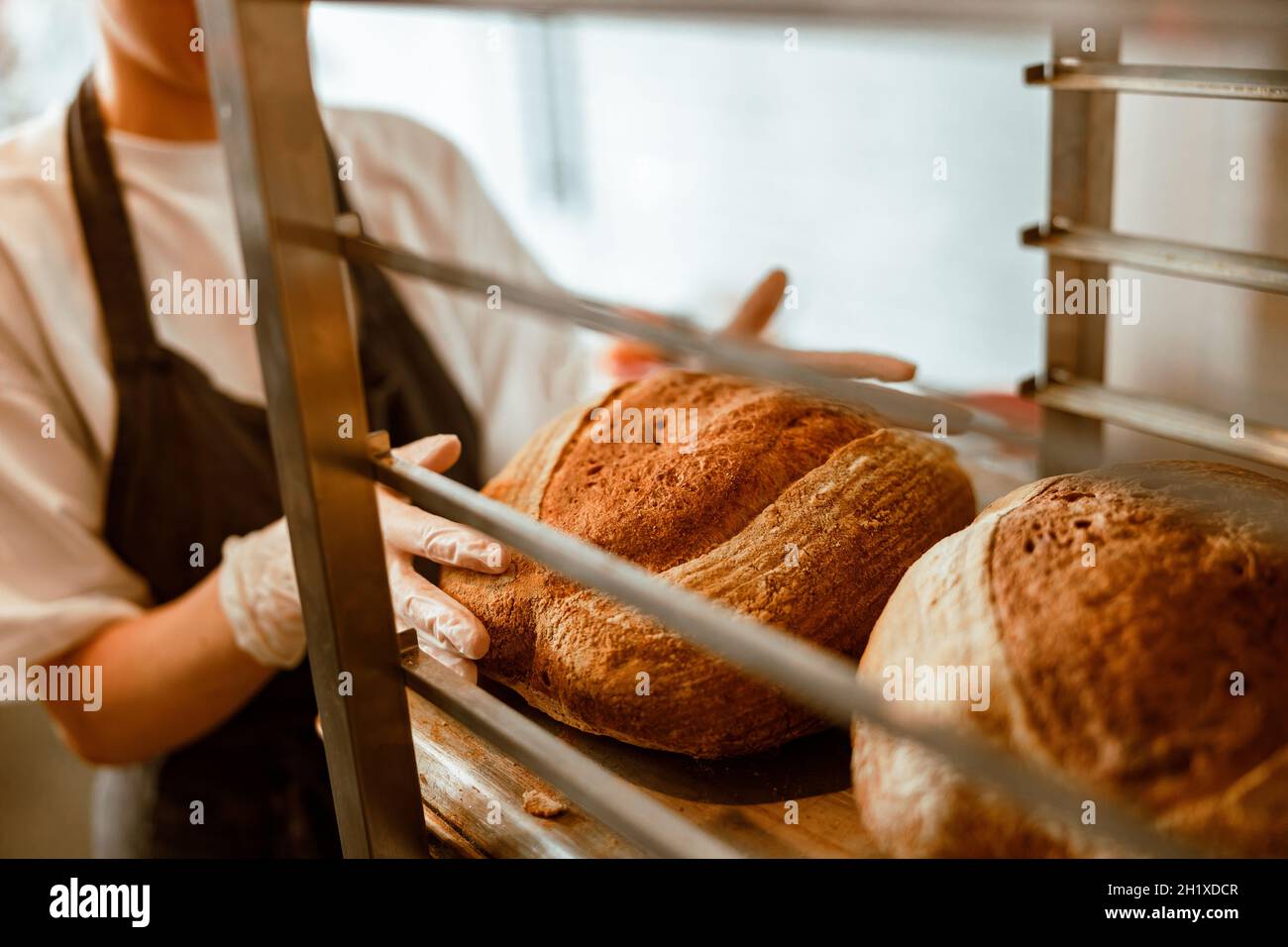 Worker puts fresh bread hi-res stock photography and images - Alamy