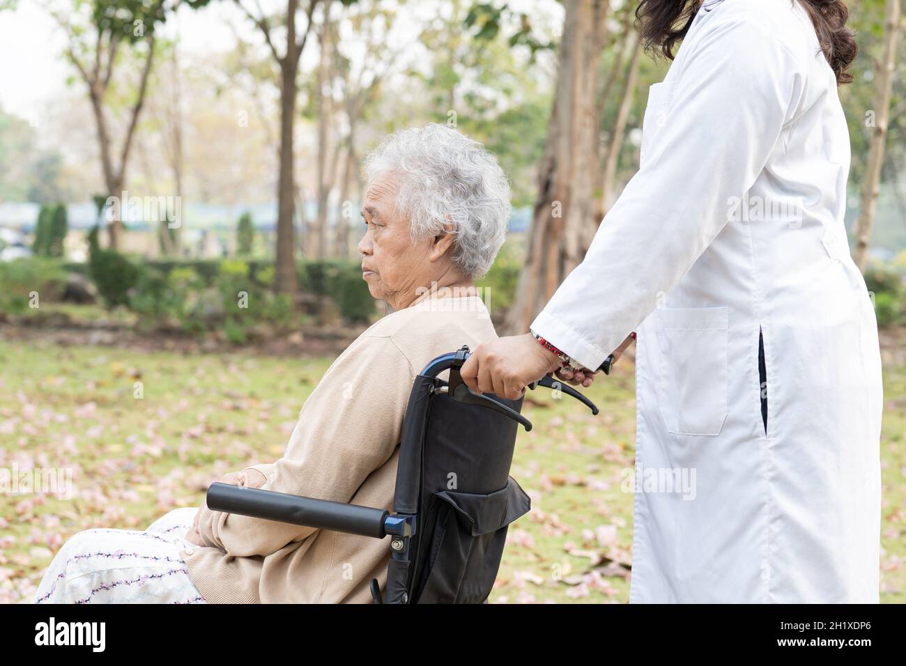 Doctor help and care Asian senior or elderly old lady woman patient sitting on wheelchair at ...