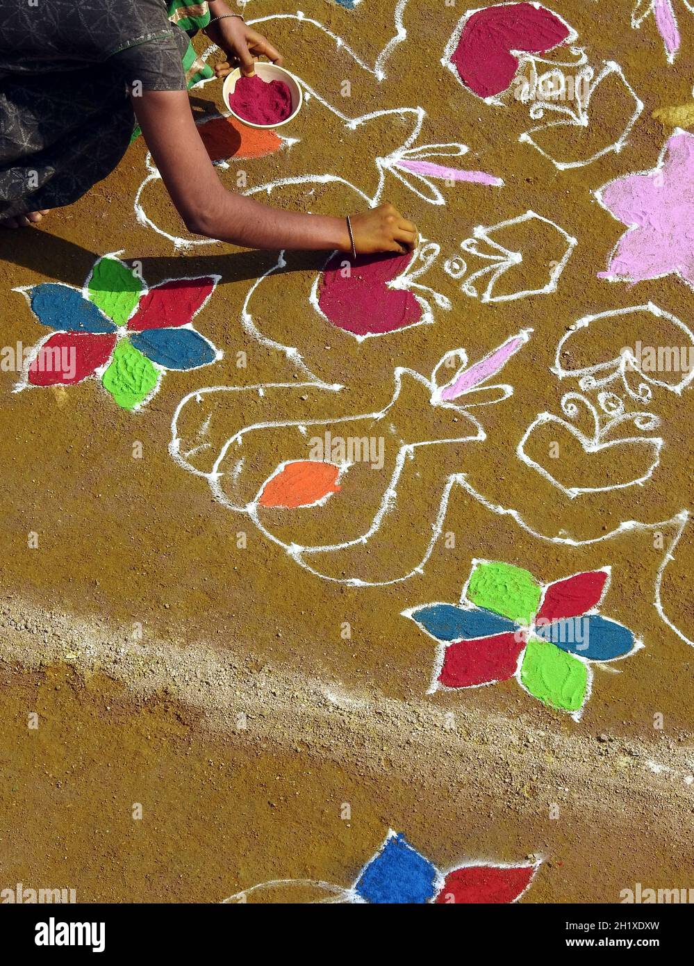 Indian woman drawing rangoli in front of house or temple during harvest ...