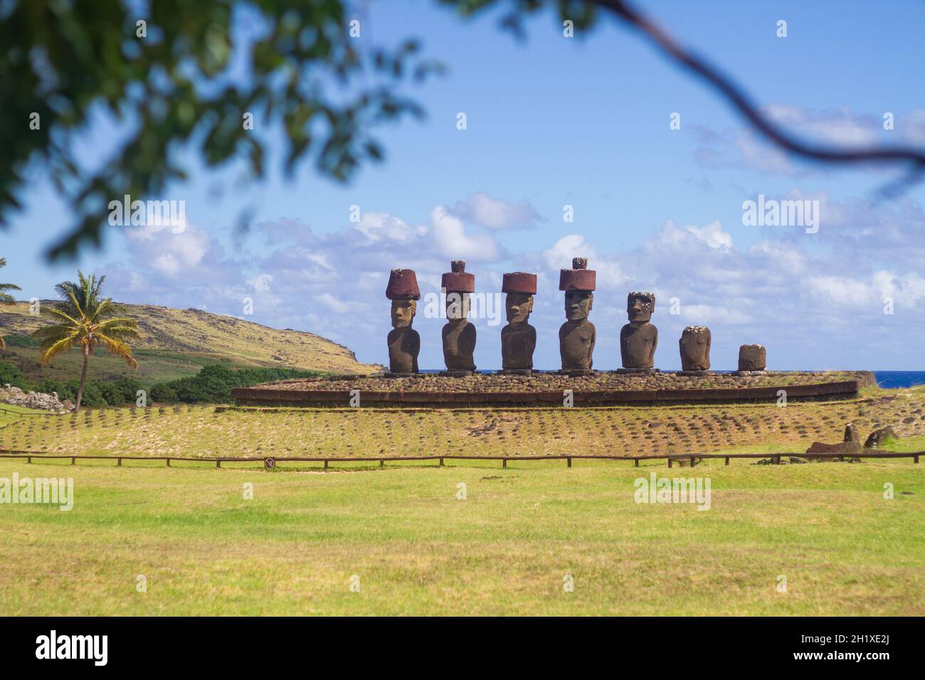 Moai at Anakena beach, Easter island, Chile Stock Photo - Alamy