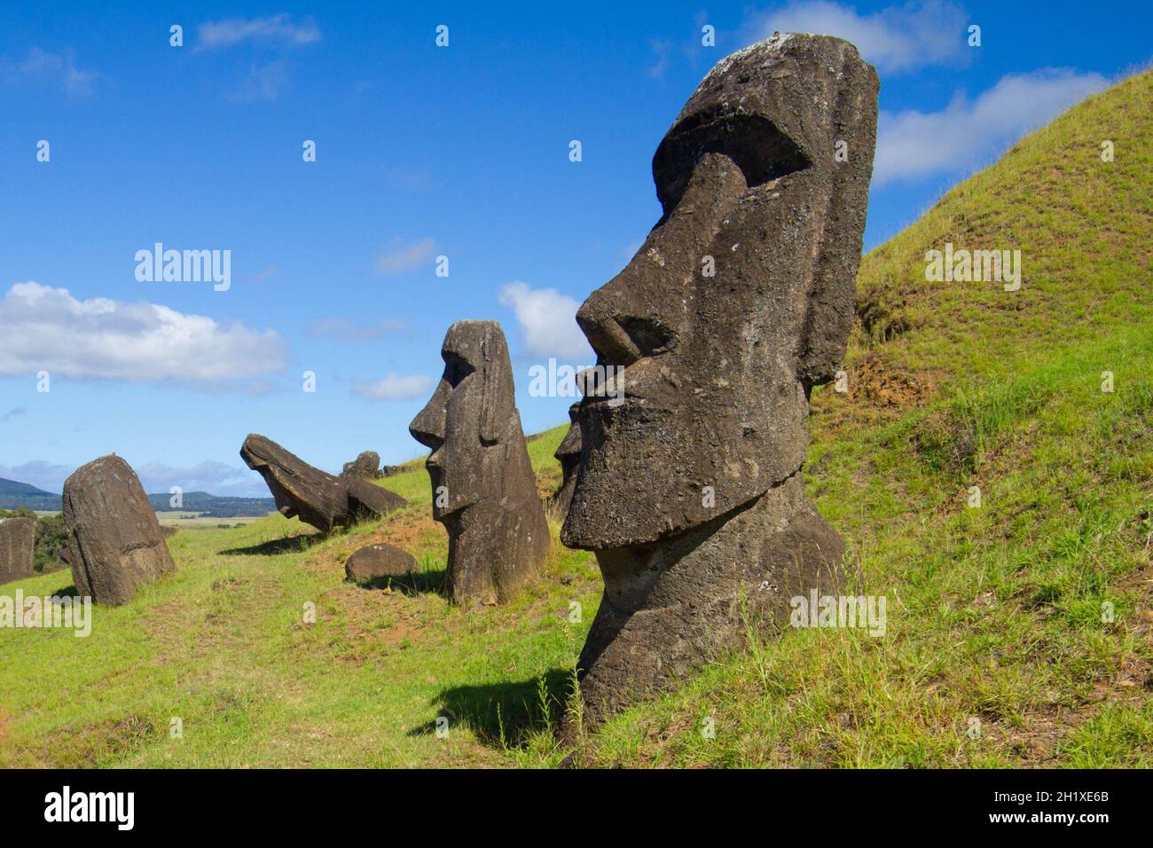 Easter island rano raraku maori statues hi-res stock photography and ...