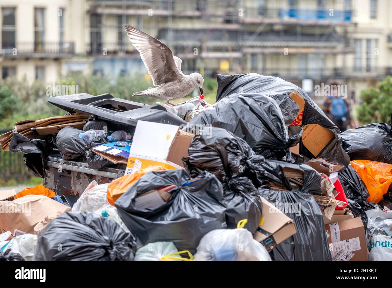 Strike of garbage collectors hi-res stock photography and images - Alamy