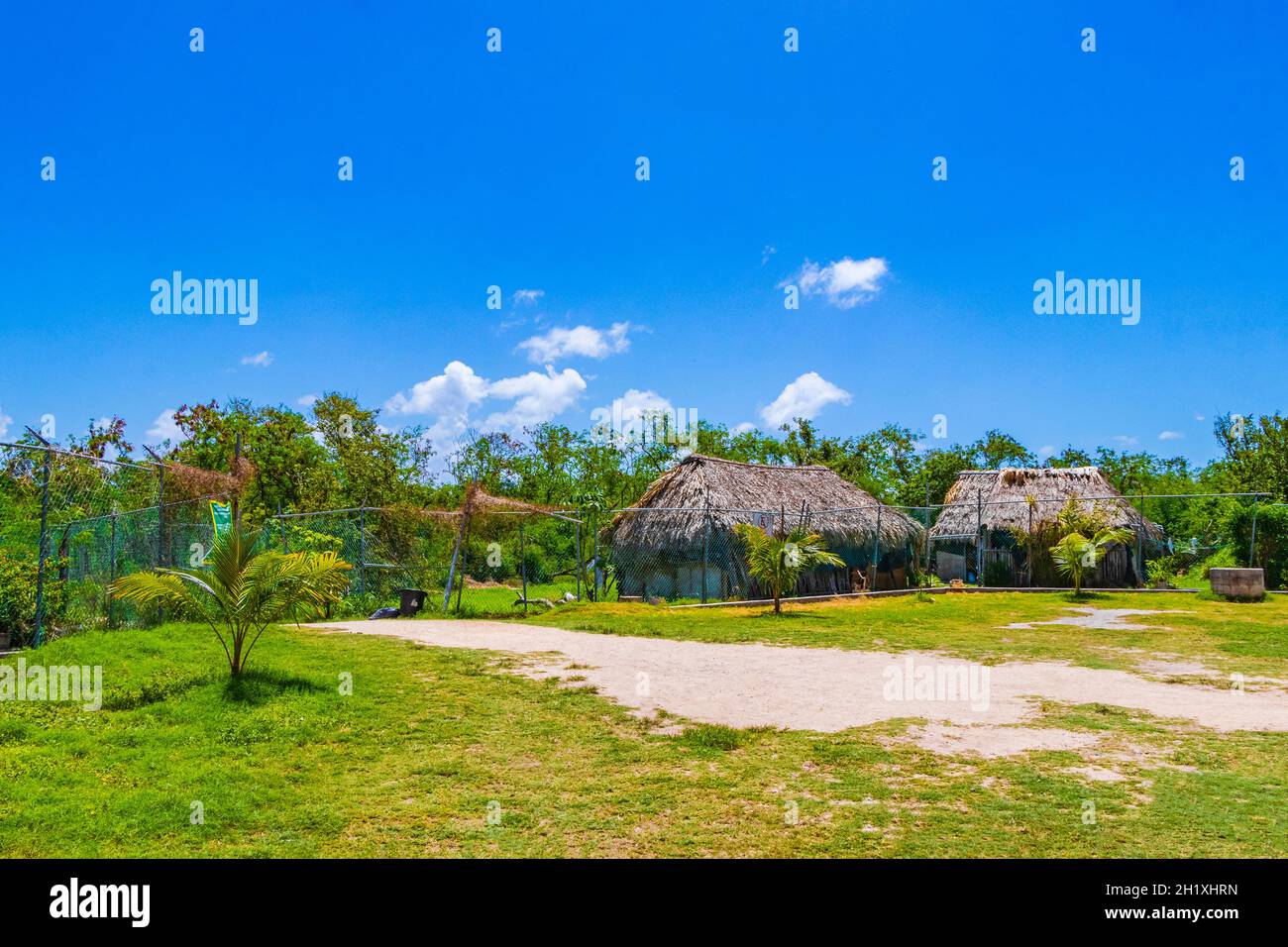 Entrance and path of tropical mexican beach 88 between natural huts in ...