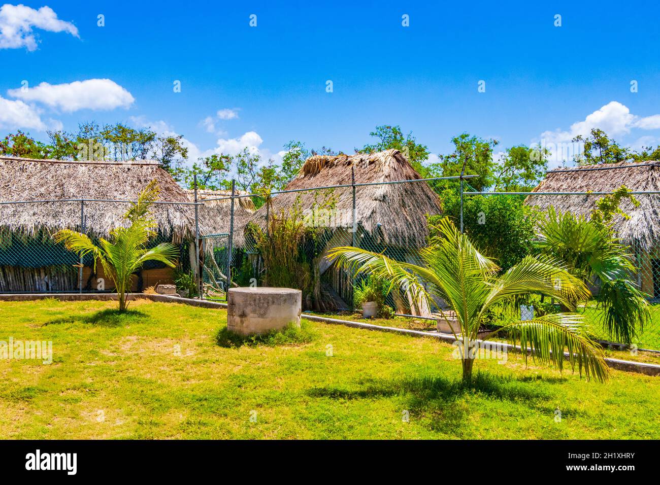 Entrance and path of tropical mexican beach 88 between natural huts in ...
