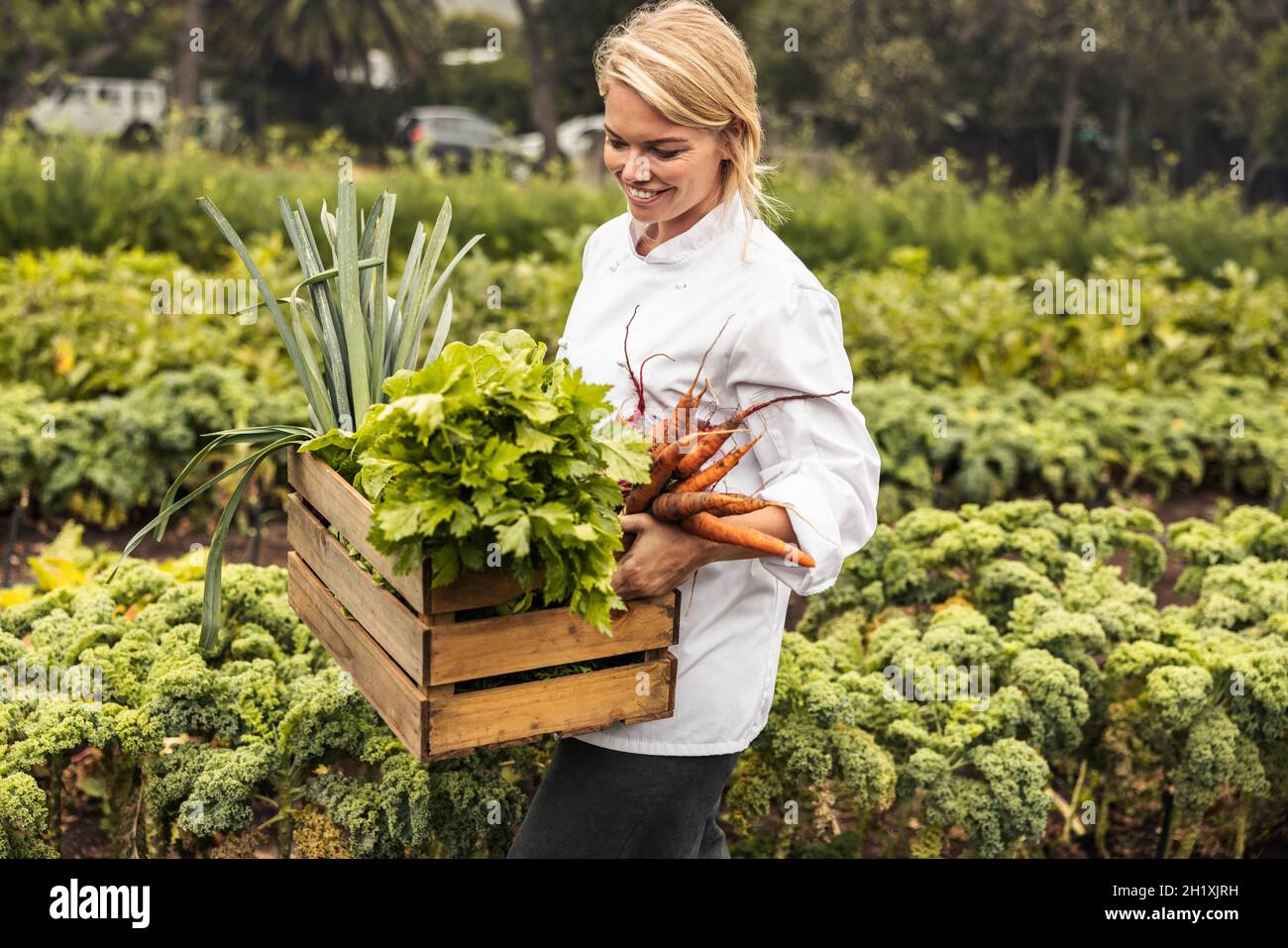 Smiling young chef carrying a crate full of freshly picked vegetables ...