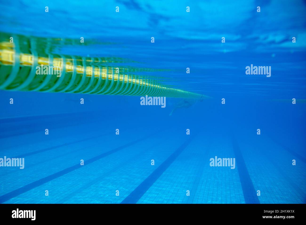 Dividers of paths in the big outdoor swimming pool Stock Photo - Alamy
