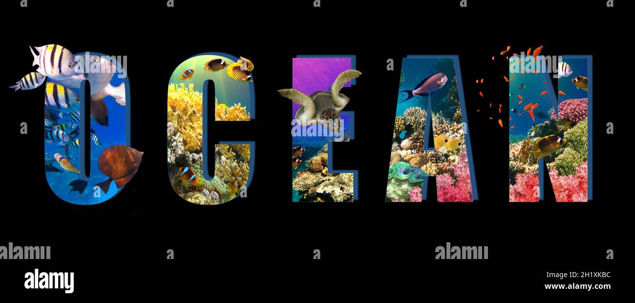 Collage abou underwater paradise. Background with coral reef and ...