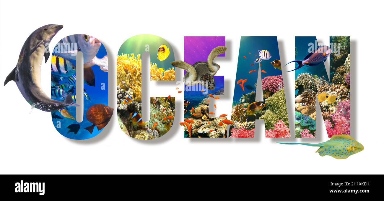 Caribbean coral reef colorful Cut Out Stock Images & Pictures - Alamy