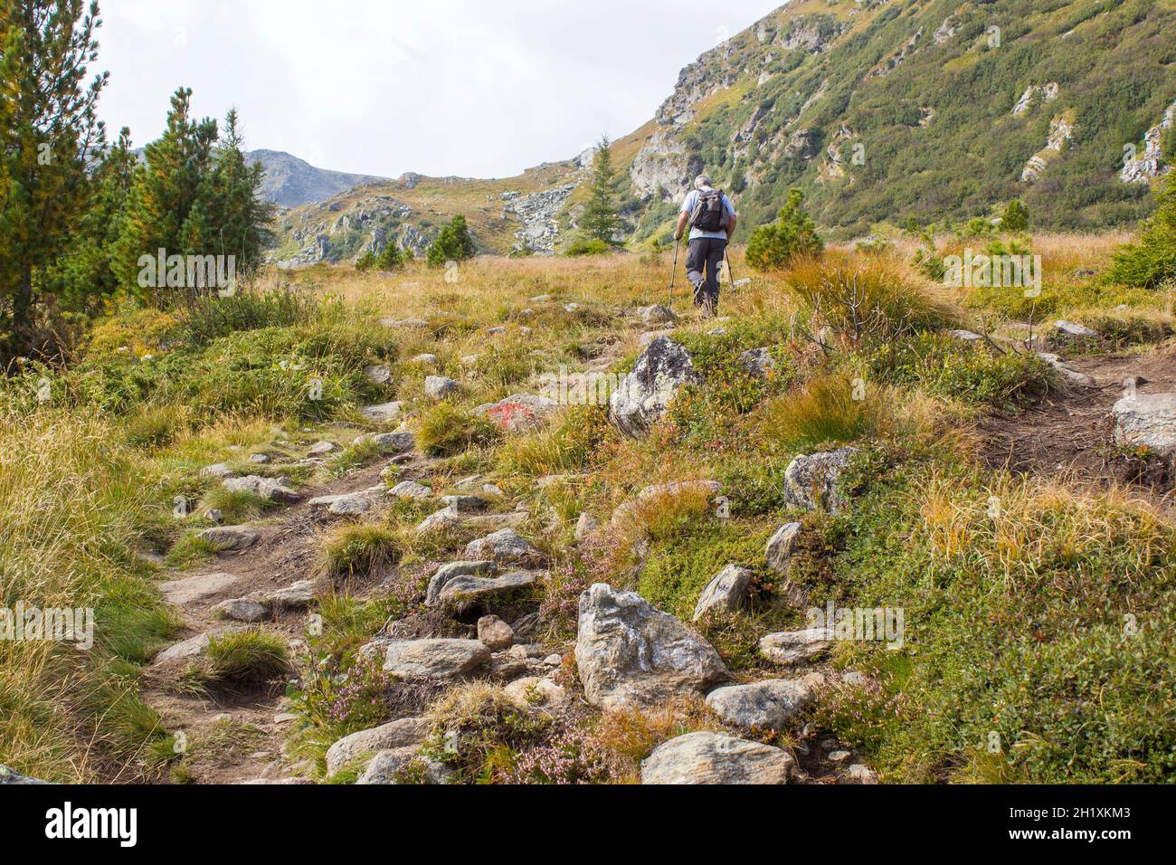 man trekking in the mountains, Alps in Austria, Steiermark Stock Photo ...