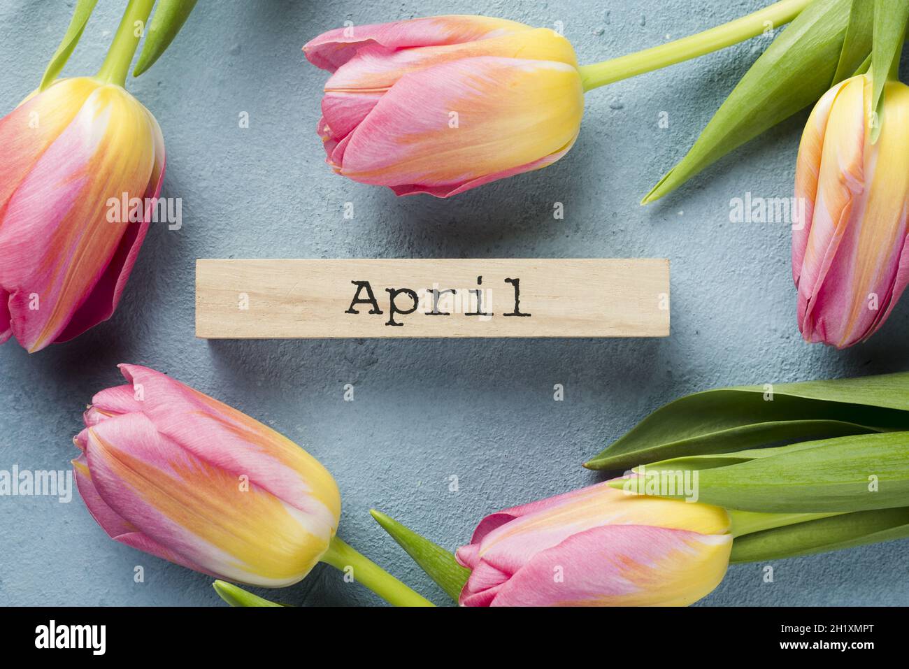 top view tulips frame with april tag. Resolution and high quality ...