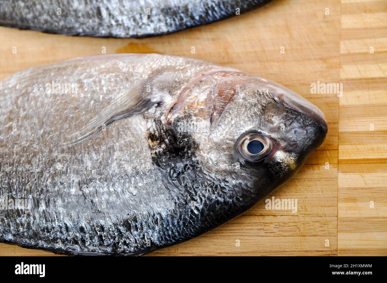 Cleaned and ready to cook fresh fish dorado, cipura cupra fish, on ...