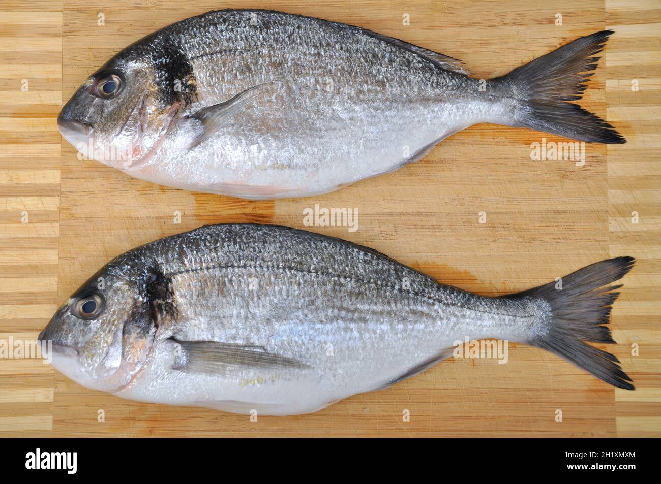 Cleaned and ready to cook fresh fish dorado, cipura cupra fish, on ...