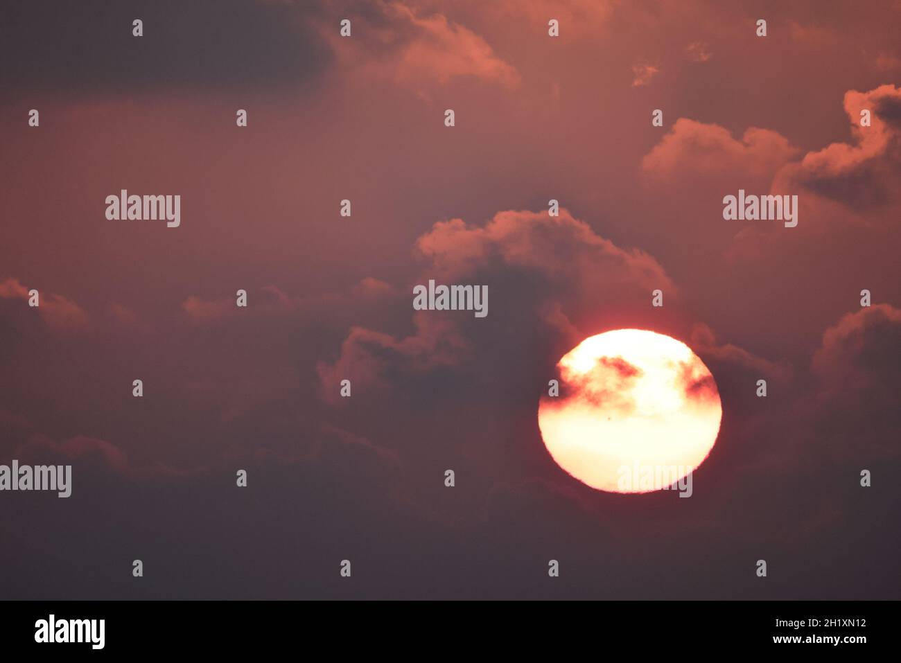 Minsmere Uk High Resolution Stock Photography and Images - Alamy