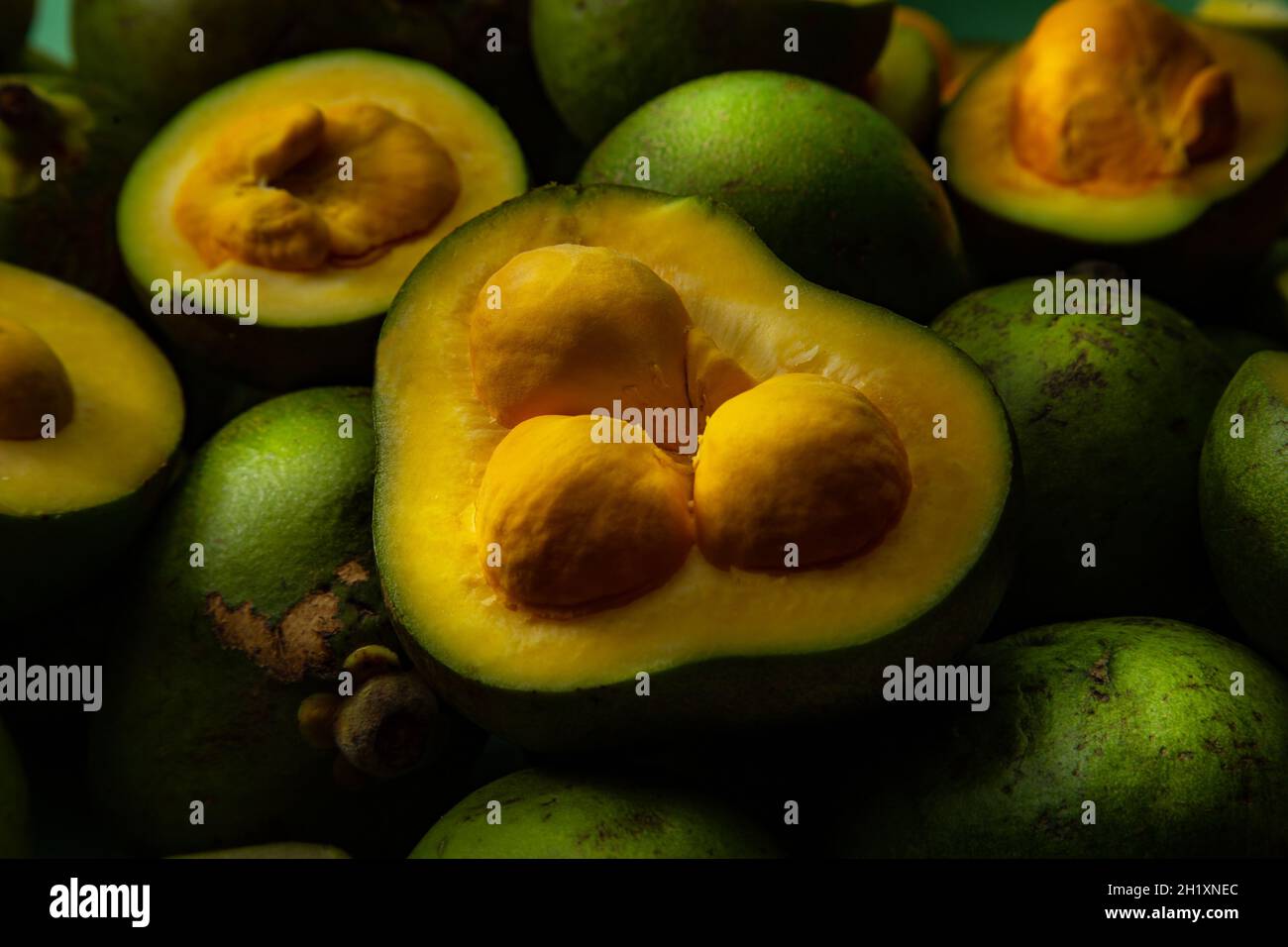 Some ripe pequi fruits. Pequi, fruit from the Brazilian cerrado, very ...