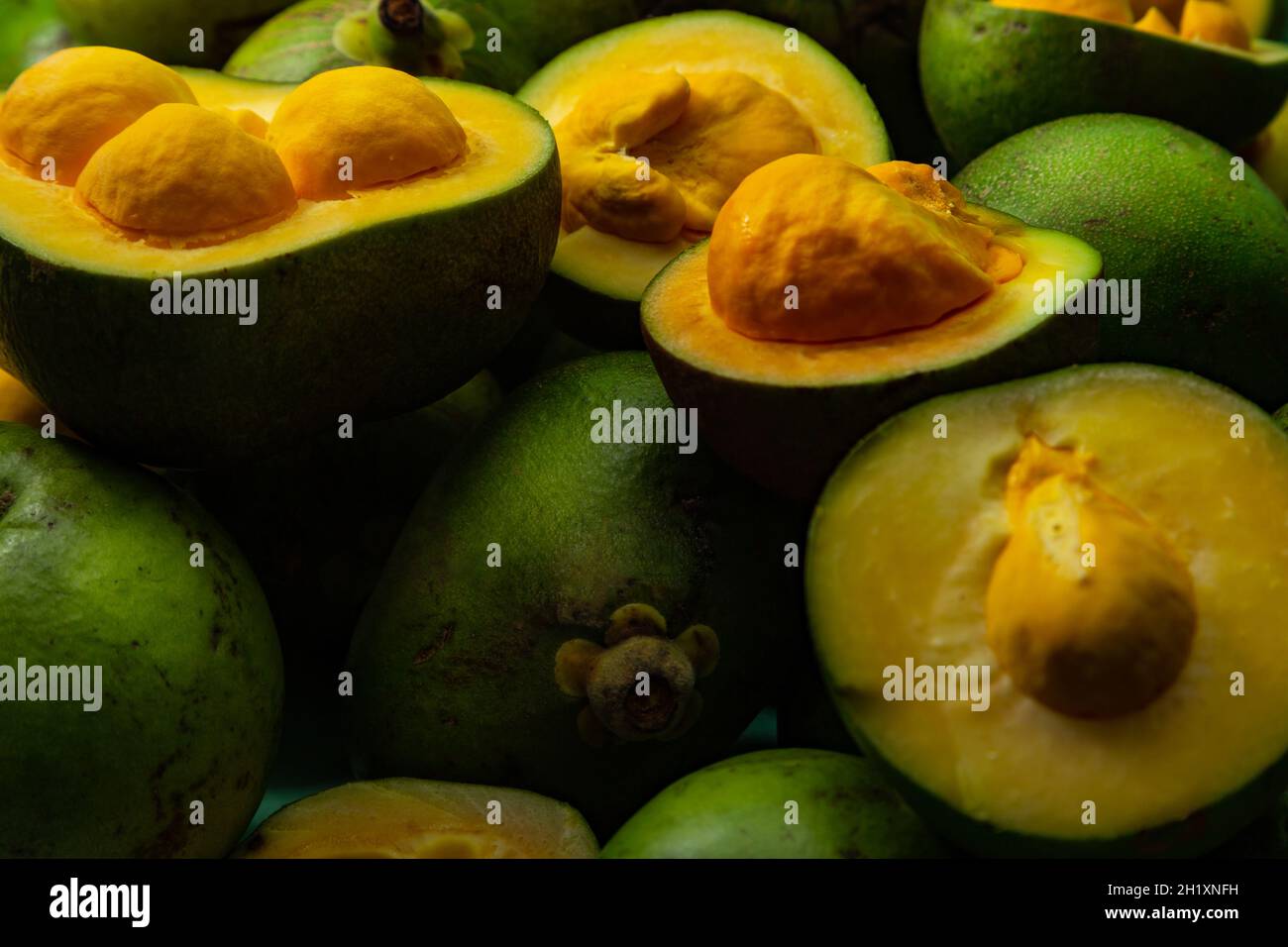 Some ripe pequi fruits. Pequi, fruit from the Brazilian cerrado, very ...