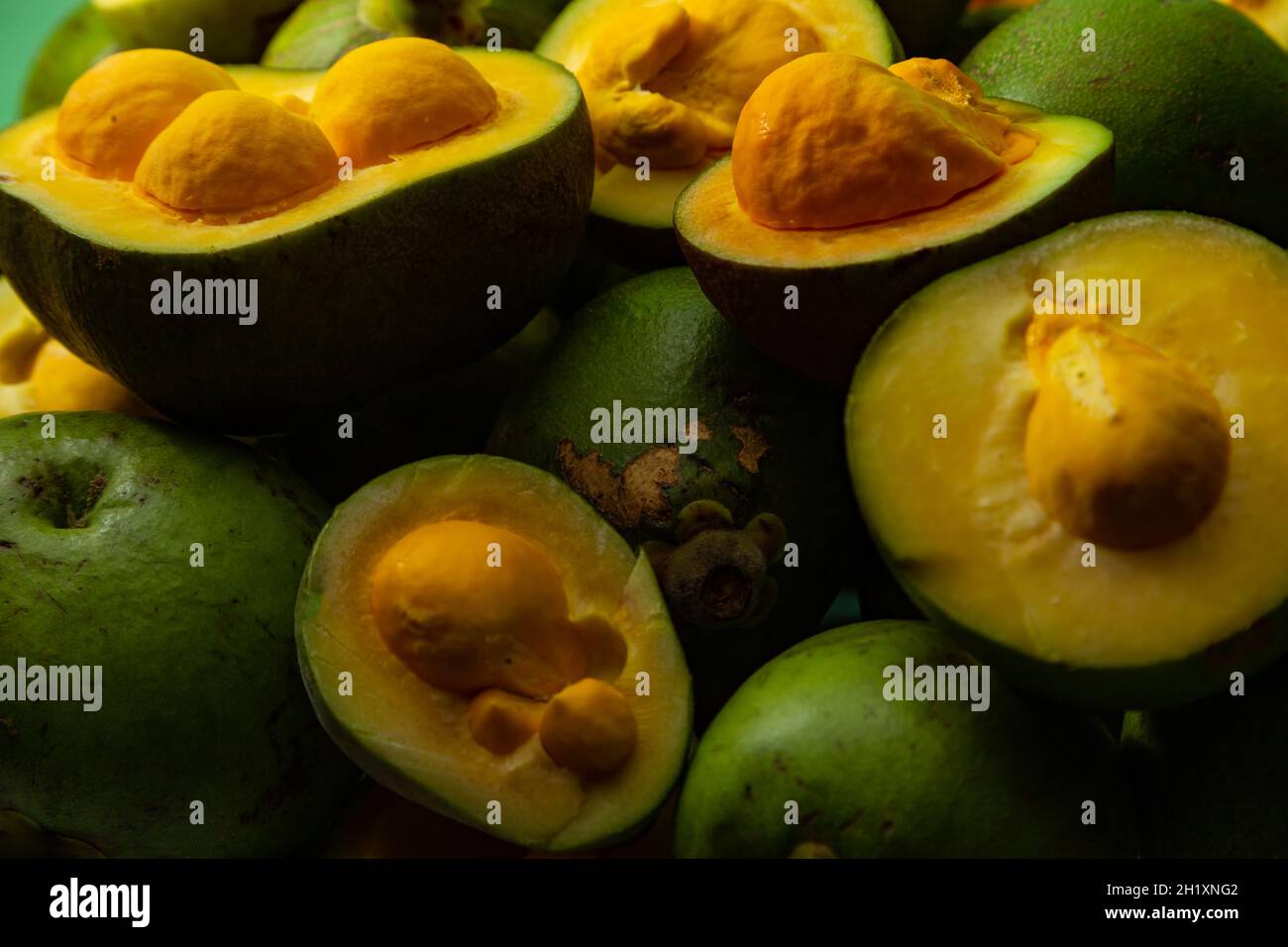 Some ripe pequi fruits. Pequi, fruit from the Brazilian cerrado, very ...