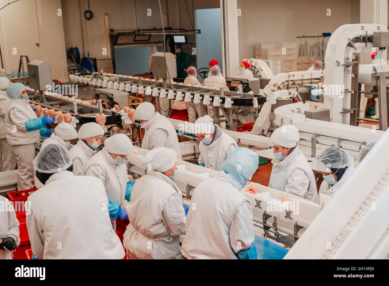 Chicken fillet production line . Factory for the production of food ...
