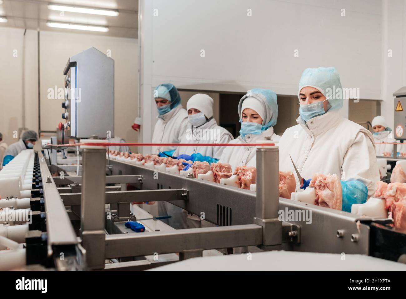 Modern Food Assembly Line