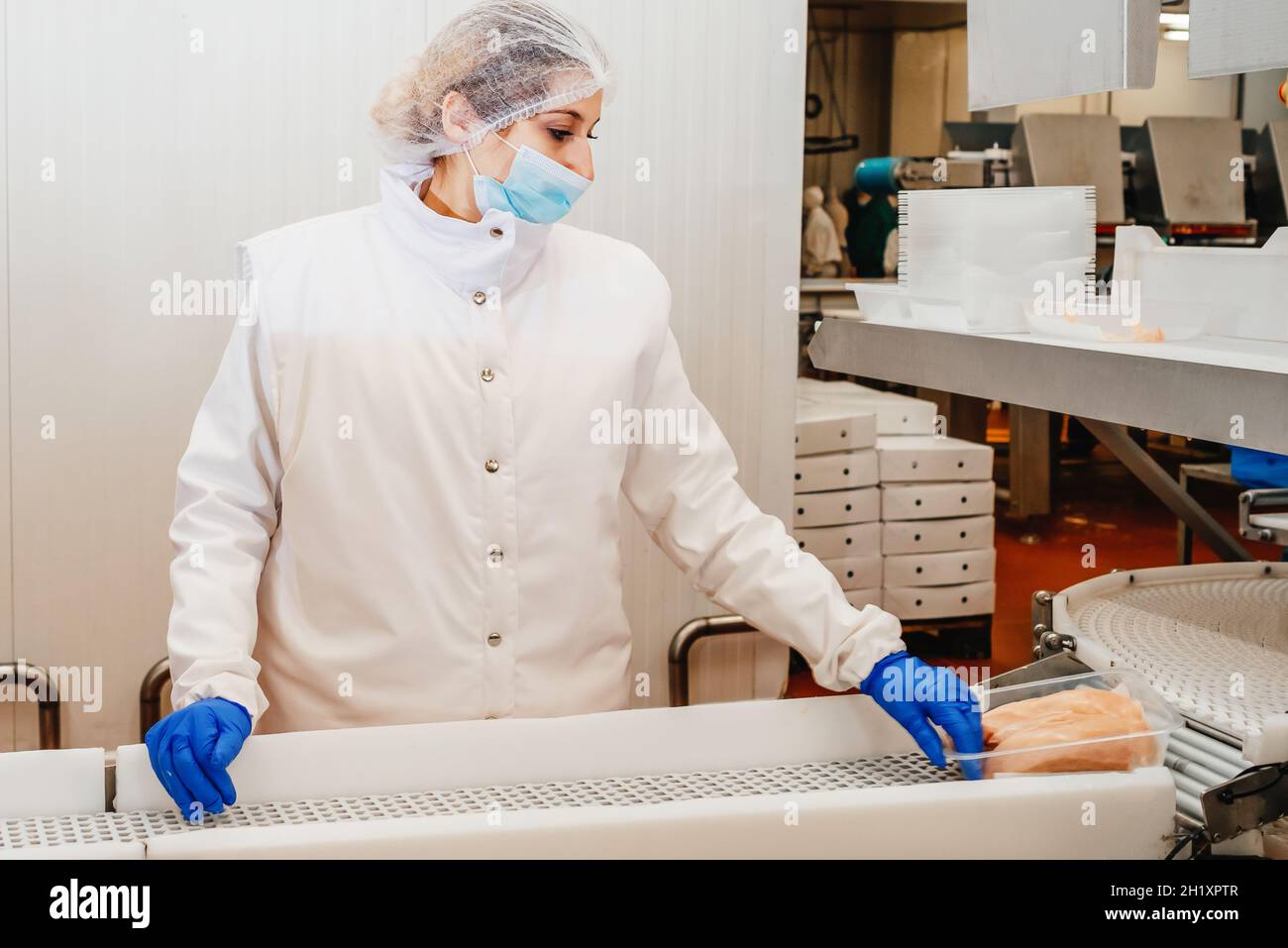 Chicken fillet production line . Factory for the production of food ...