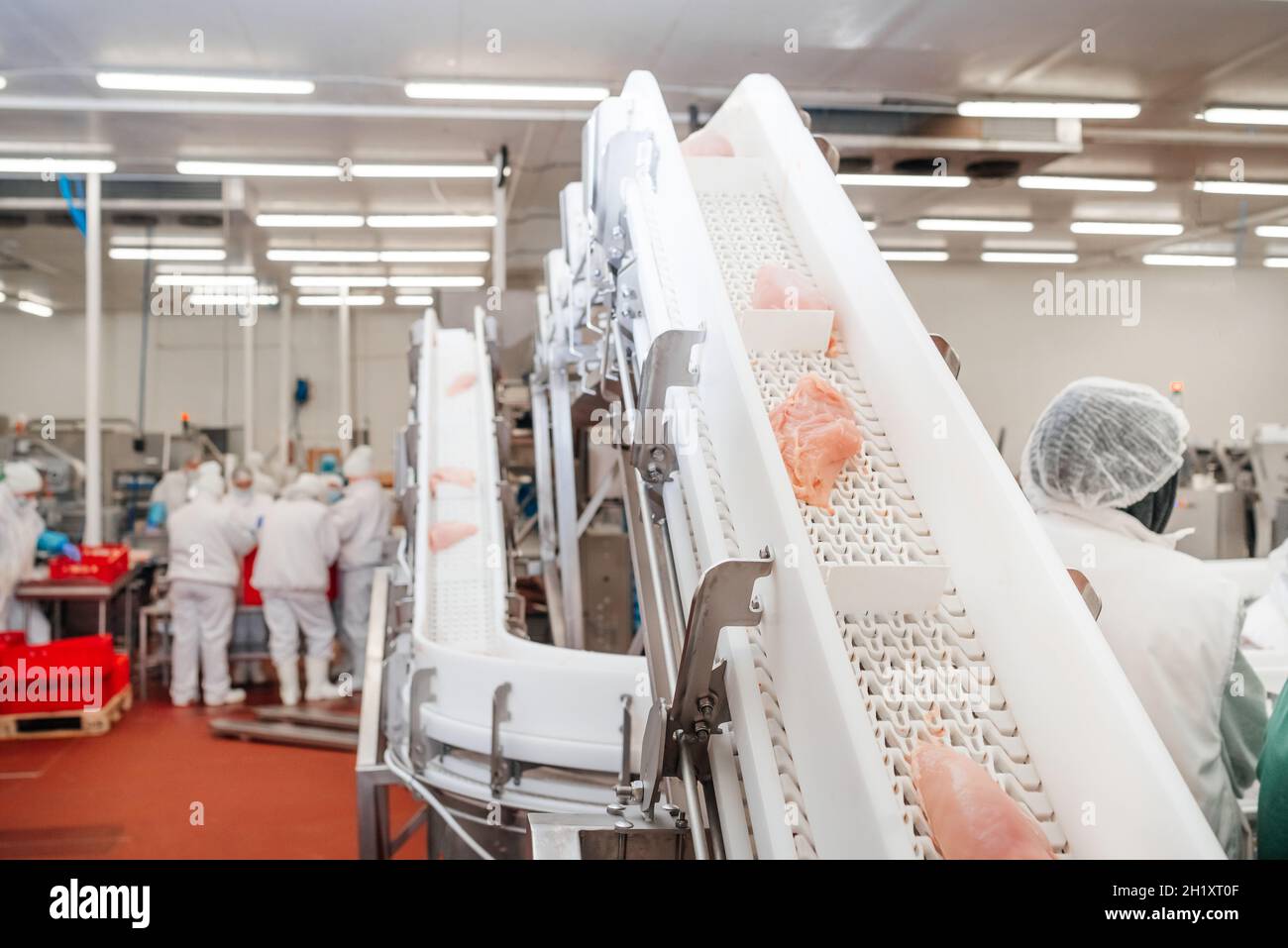 Meat processing plant.Industrial equipment at a meat factory.Modern ...