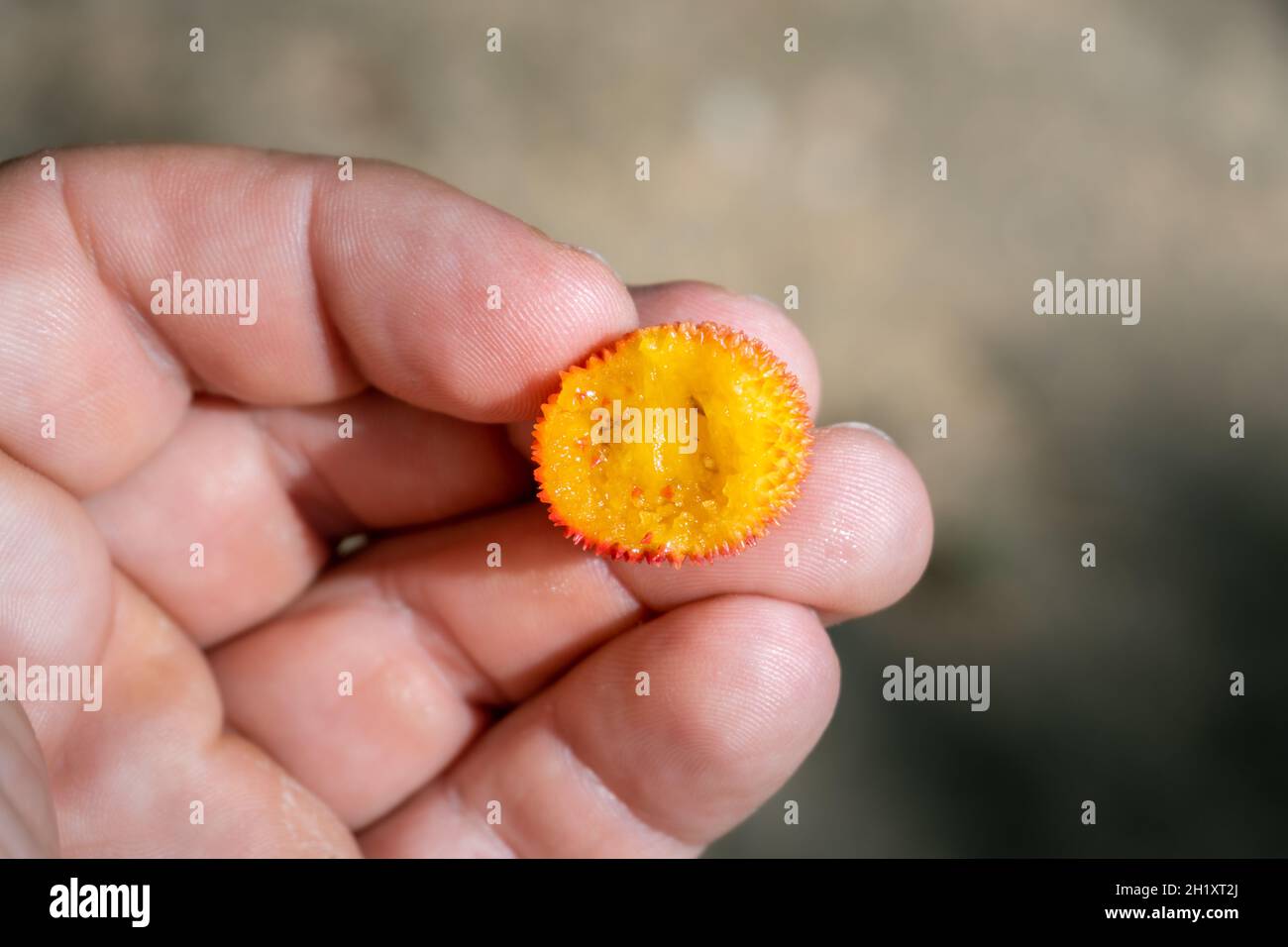 Bitten hand hi-res stock photography and images - Alamy