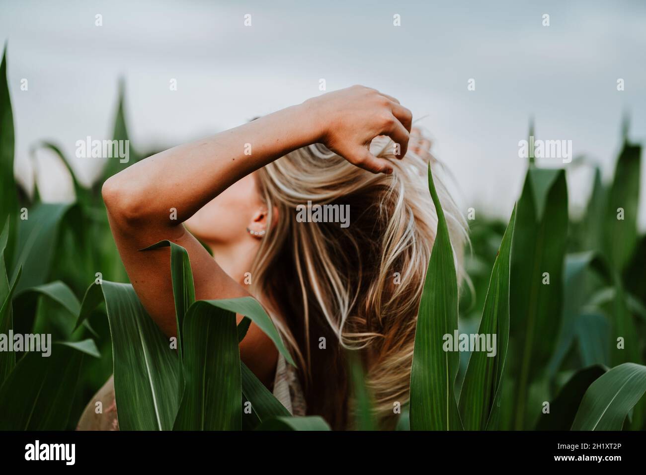 Blonde woman in corn field body positivity shoot Stock Photo - Alamy