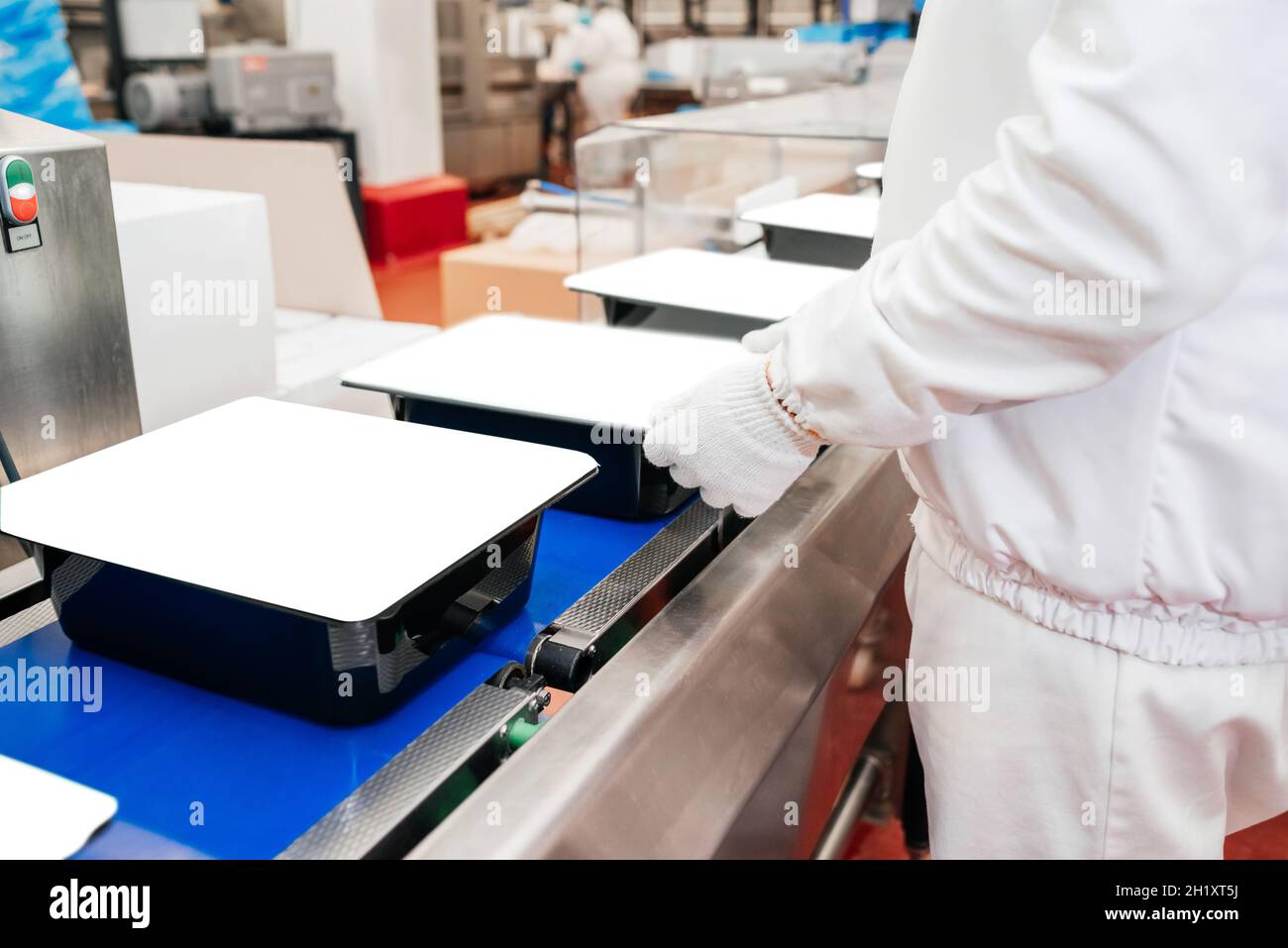 Chicken fillet production line . Factory for the production of food ...