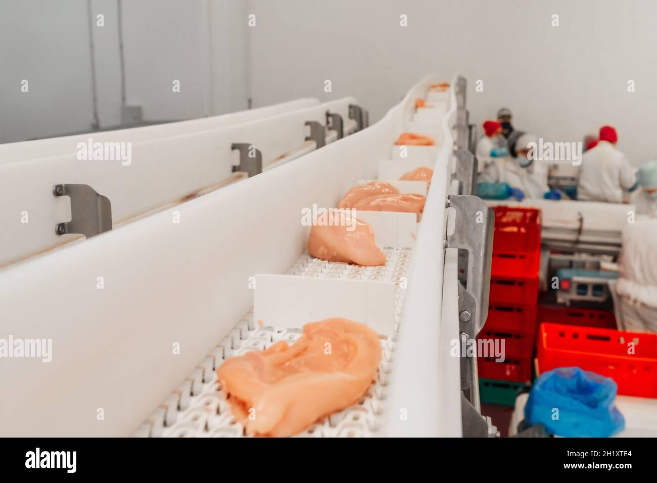 Automated production line with packaging and cutting of meat in modern ...