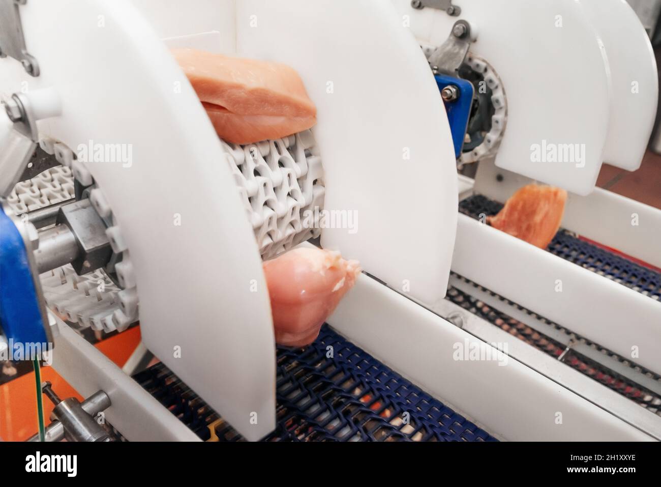 Modern poultry processing plant.Factory for the production of food from ...