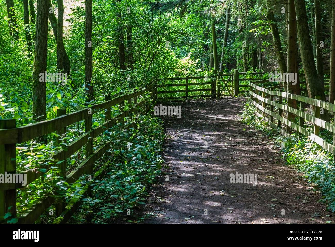 Wynyard Woodland Park,Stockton-on-Tees, England,UK Stock Photo - Alamy